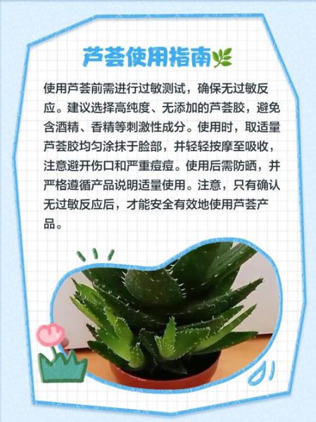 芦荟可以直接涂脸吗_自己养的芦荟怎么用-第2张图片-山城妙识 芦荟可以直接涂脸吗_自己养的芦荟怎么用-第2张图片-山城妙识