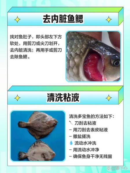 多宝鱼怎么杀_多宝鱼宰杀视频教程-第1张图片-山城妙识 多宝鱼怎么杀_多宝鱼宰杀视频教程-第1张图片-山城妙识