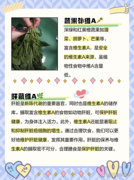 富含维生素a的食物有哪些_如何科学补充-第2张图片-山城妙识