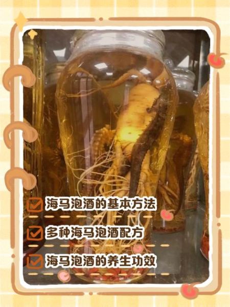 海马泡酒禁忌_哪些人不能喝-第1张图片-山城妙识