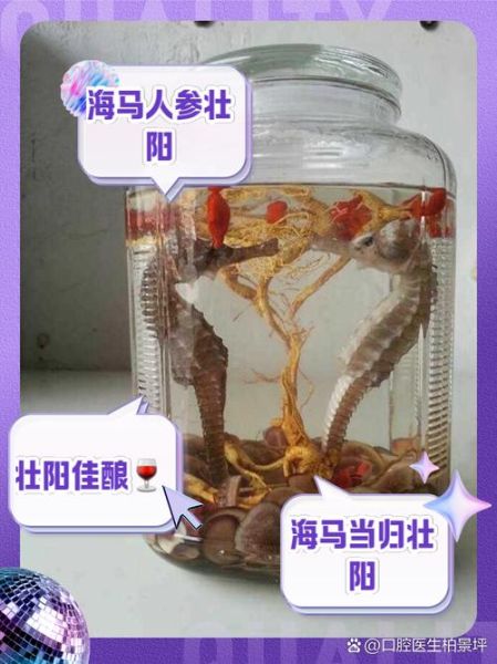 海马泡酒禁忌_哪些人不能喝-第3张图片-山城妙识