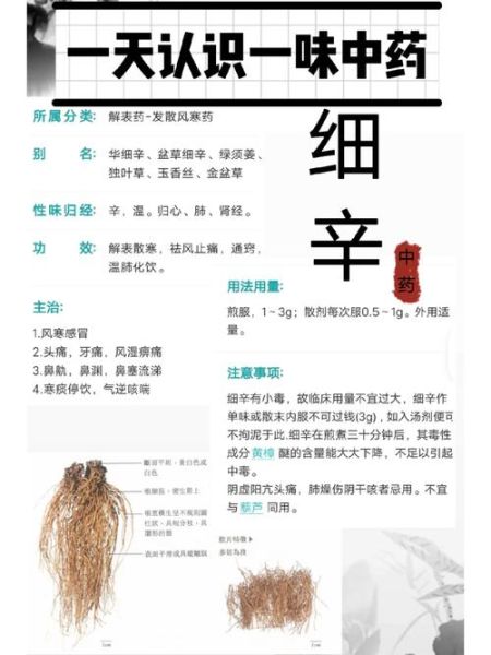 细辛的功效与作用用量_细辛一次吃多少克-第1张图片-山城妙识