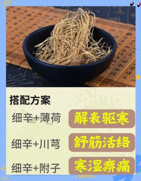 细辛的功效与作用用量_细辛一次吃多少克-第2张图片-山城妙识