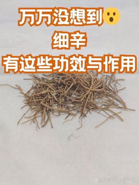 细辛的功效与作用用量_细辛一次吃多少克-第3张图片-山城妙识
