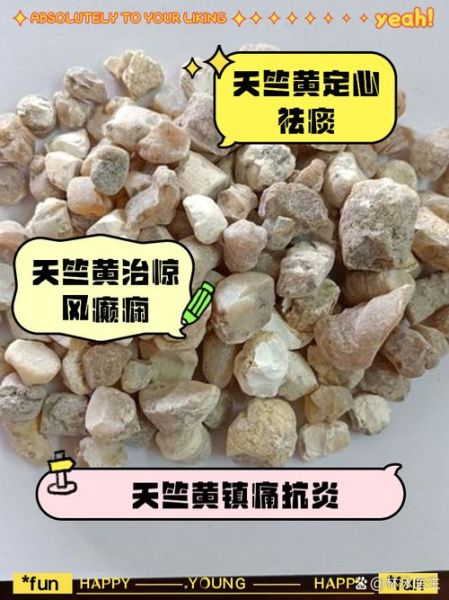 天竺黄的功效与作用_天竺黄怎么吃效果最好-第1张图片-山城妙识 天竺黄的功效与作用_天竺黄怎么吃效果最好-第1张图片-山城妙识