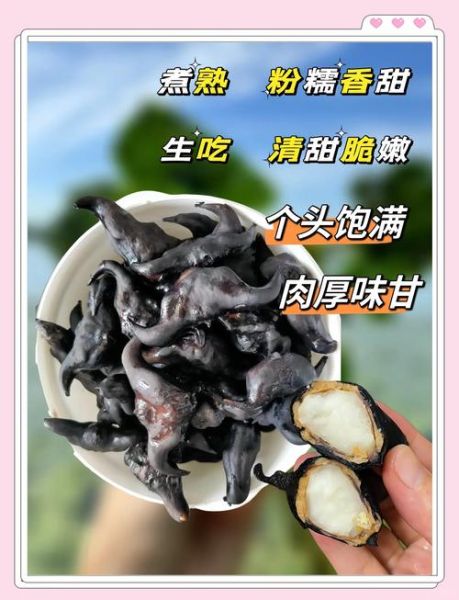 菱角怎么吃_菱角怎么破开壳-第3张图片-山城妙识