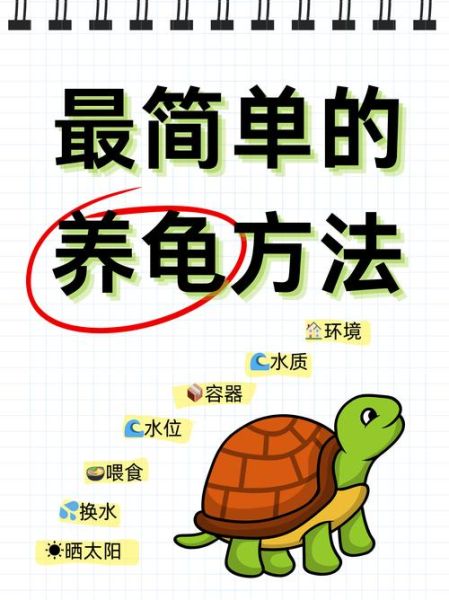 乌龟为什么总想爬出盆_乌龟爬盆怎么办-第1张图片-山城妙识 乌龟为什么总想爬出盆_乌龟爬盆怎么办-第1张图片-山城妙识