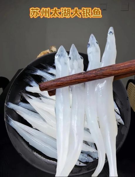 小银鱼多少钱一斤_小银鱼价格受哪些因素影响-第1张图片-山城妙识 小银鱼多少钱一斤_小银鱼价格受哪些因素影响-第1张图片-山城妙识