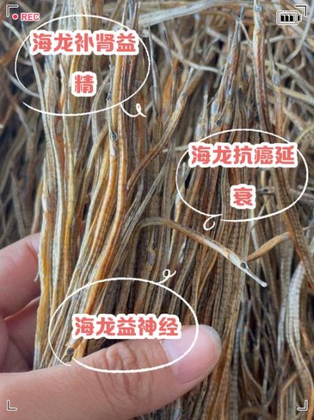 海龙鱼有什么功效_海龙鱼怎么吃最补肾-第1张图片-山城妙识 海龙鱼有什么功效_海龙鱼怎么吃最补肾-第1张图片-山城妙识