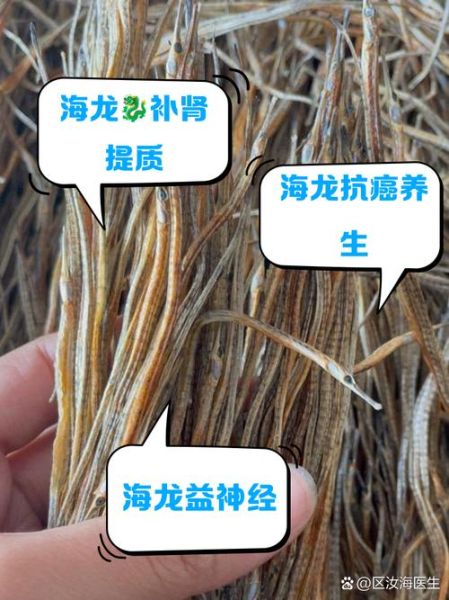 海龙鱼有什么功效_海龙鱼怎么吃最补肾-第2张图片-山城妙识 海龙鱼有什么功效_海龙鱼怎么吃最补肾-第2张图片-山城妙识