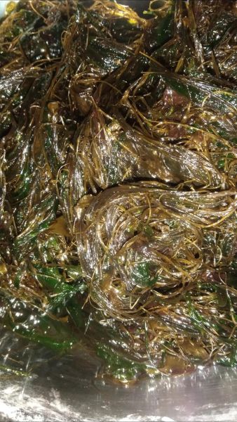 海麻线包子怎么做_海麻线包子是哪里的特产-第1张图片-山城妙识 海麻线包子怎么做_海麻线包子是哪里的特产-第1张图片-山城妙识