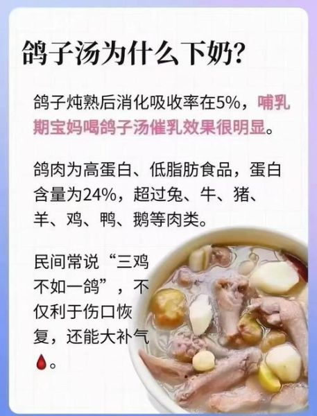 坐月子喝鸽子汤回奶吗_鸽子汤回奶还是下奶-第1张图片-山城妙识