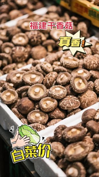 干香菇和鲜香菇哪个炖汤好_香菇鸡汤用干香菇还是湿干香菇好-第1张图片-山城妙识 干香菇和鲜香菇哪个炖汤好_香菇鸡汤用干香菇还是湿干香菇好-第1张图片-山城妙识