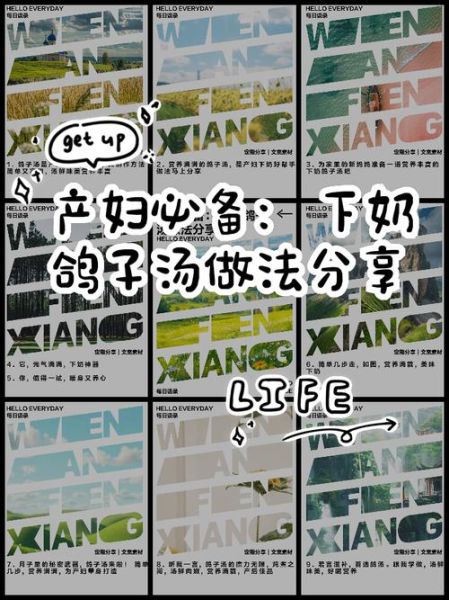 坐月子喝鸽子汤回奶吗_鸽子汤回奶还是下奶-第3张图片-山城妙识