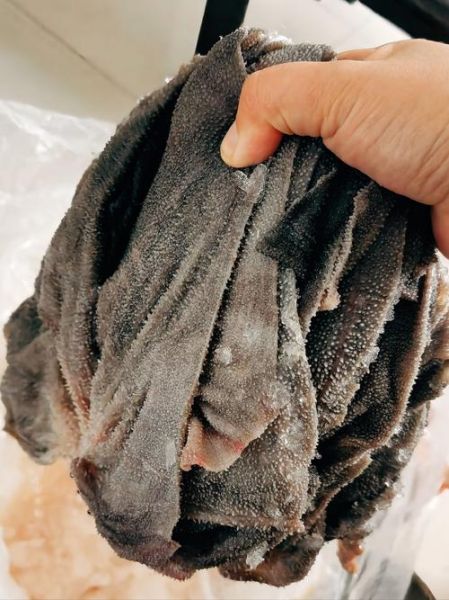 毛肚是哪个部位_毛肚是什么动物身上的-第1张图片-山城妙识