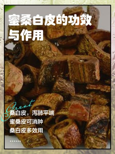 桑白皮的功效与作用_桑白皮有副作用吗-第2张图片-山城妙识 桑白皮的功效与作用_桑白皮有副作用吗-第2张图片-山城妙识