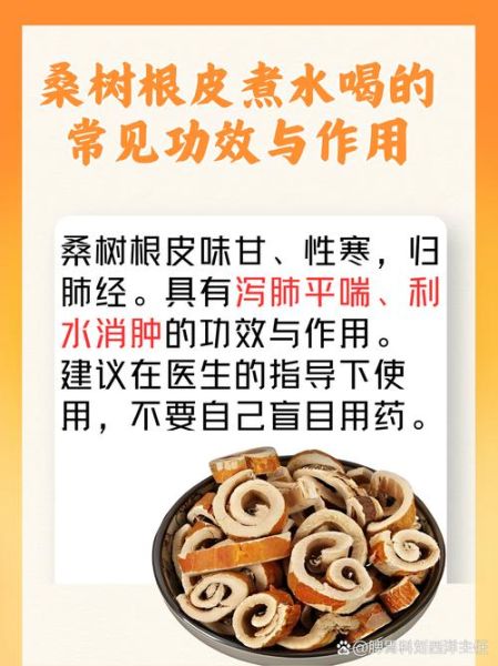 桑白皮的功效与作用_桑白皮有副作用吗-第3张图片-山城妙识 桑白皮的功效与作用_桑白皮有副作用吗-第3张图片-山城妙识