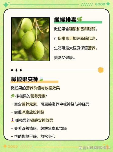 橄榄的功效与作用_橄榄果能多吃吗-第3张图片-山城妙识