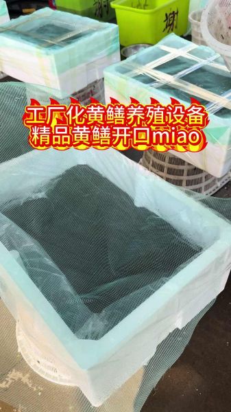 养殖一亩黄鳝多少利润_黄鳝养殖成本利润分析-第1张图片-山城妙识 养殖一亩黄鳝多少利润_黄鳝养殖成本利润分析-第1张图片-山城妙识