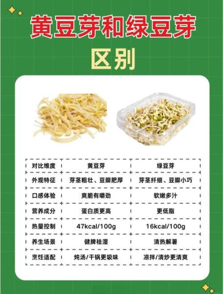 绿豆芽和黄豆芽哪个更营养_怎么挑选最新鲜-第1张图片-山城妙识 绿豆芽和黄豆芽哪个更营养_怎么挑选最新鲜-第1张图片-山城妙识