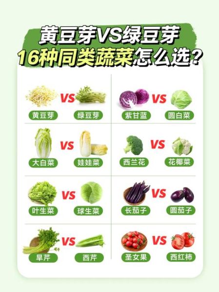 绿豆芽和黄豆芽哪个更营养_怎么挑选最新鲜-第2张图片-山城妙识 绿豆芽和黄豆芽哪个更营养_怎么挑选最新鲜-第2张图片-山城妙识