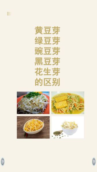 绿豆芽和黄豆芽哪个更营养_怎么挑选最新鲜-第3张图片-山城妙识 绿豆芽和黄豆芽哪个更营养_怎么挑选最新鲜-第3张图片-山城妙识