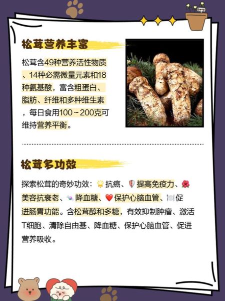 松茸的营养价值_松茸的功效与作用-第2张图片-山城妙识 松茸的营养价值_松茸的功效与作用-第2张图片-山城妙识