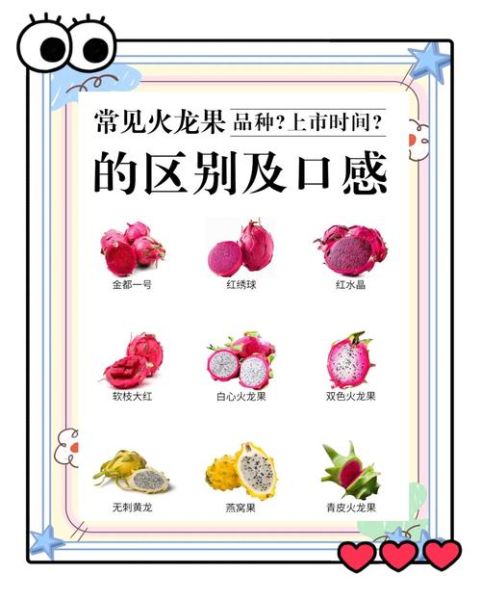 火龙果怎么吃_火龙果怎么吃才好吃-第1张图片-山城妙识 火龙果怎么吃_火龙果怎么吃才好吃-第1张图片-山城妙识