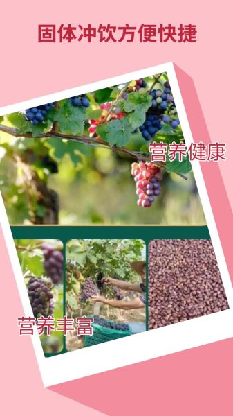 葡萄籽粉的功效与作用_葡萄籽粉怎么吃效果最好-第2张图片-山城妙识
