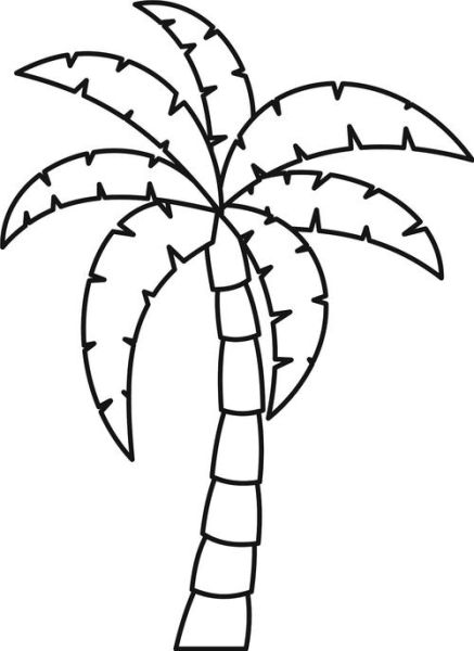 椰子树简笔画怎么画_椰子树简笔画视频教程-第2张图片-山城妙识 椰子树简笔画怎么画_椰子树简笔画视频教程-第2张图片-山城妙识