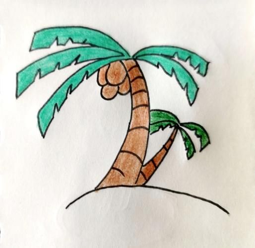 椰子树简笔画怎么画_椰子树简笔画视频教程-第1张图片-山城妙识 椰子树简笔画怎么画_椰子树简笔画视频教程-第1张图片-山城妙识