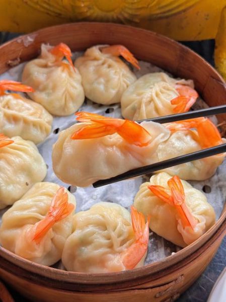 家常蒸饺子怎么做_蒸饺子需要多长时间-第2张图片-山城妙识