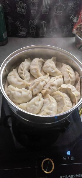 家常蒸饺子怎么做_蒸饺子需要多长时间-第3张图片-山城妙识