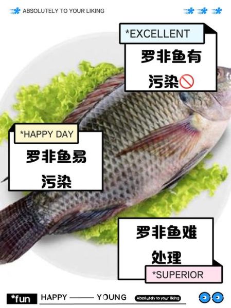 吃罗非鱼的好处与坏处_罗非鱼安全吗-第3张图片-山城妙识 吃罗非鱼的好处与坏处_罗非鱼安全吗-第3张图片-山城妙识