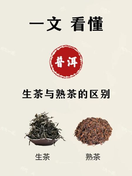 普洱茶生茶和熟茶的区别_哪个更适合你-第2张图片-山城妙识 普洱茶生茶和熟茶的区别_哪个更适合你-第2张图片-山城妙识
