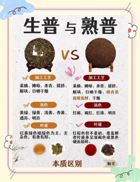 普洱茶生茶和熟茶的区别_哪个更适合你-第1张图片-山城妙识 普洱茶生茶和熟茶的区别_哪个更适合你-第1张图片-山城妙识