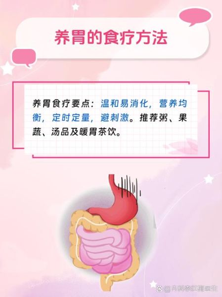 肠胃不好吃什么调理_肠胃不好怎么调理最快-第1张图片-山城妙识 肠胃不好吃什么调理_肠胃不好怎么调理最快-第1张图片-山城妙识