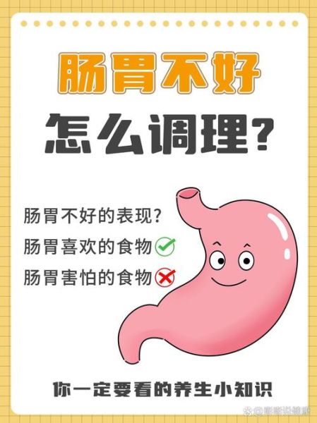 肠胃不好吃什么调理_肠胃不好怎么调理最快-第3张图片-山城妙识 肠胃不好吃什么调理_肠胃不好怎么调理最快-第3张图片-山城妙识