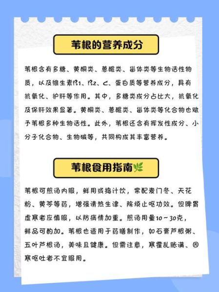 芦苇根的功效与作用_芦苇根怎么泡水喝-第1张图片-山城妙识 芦苇根的功效与作用_芦苇根怎么泡水喝-第1张图片-山城妙识