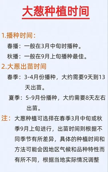 大葱怎么种_大葱种植方法步骤-第2张图片-山城妙识 大葱怎么种_大葱种植方法步骤-第2张图片-山城妙识