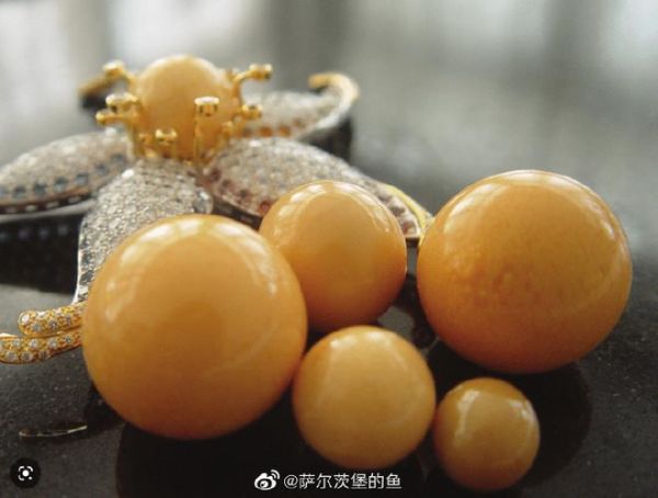 椰子螺海螺珠价格_椰子螺海螺珠真假辨别-第2张图片-山城妙识 椰子螺海螺珠价格_椰子螺海螺珠真假辨别-第2张图片-山城妙识