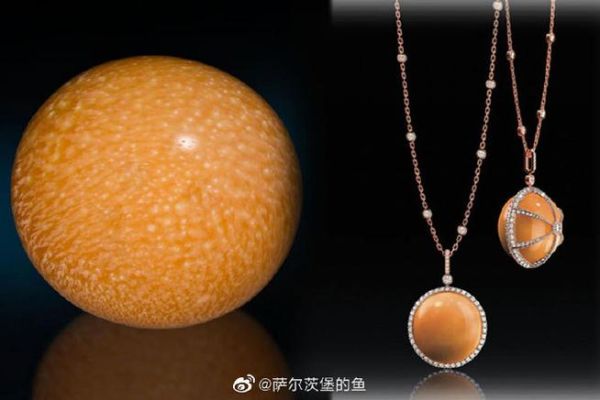 椰子螺海螺珠价格_椰子螺海螺珠真假辨别-第1张图片-山城妙识 椰子螺海螺珠价格_椰子螺海螺珠真假辨别-第1张图片-山城妙识