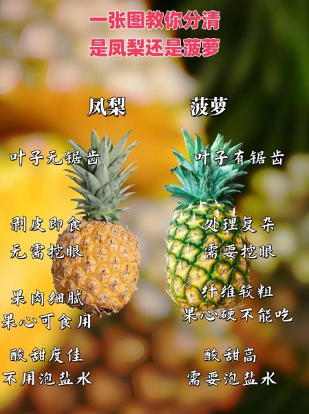 菠萝和凤梨是同一种水果吗_区别在哪里-第2张图片-山城妙识 菠萝和凤梨是同一种水果吗_区别在哪里-第2张图片-山城妙识