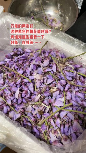 紫槐花怎么吃_紫槐花的功效与作用禁忌-第1张图片-山城妙识 紫槐花怎么吃_紫槐花的功效与作用禁忌-第1张图片-山城妙识