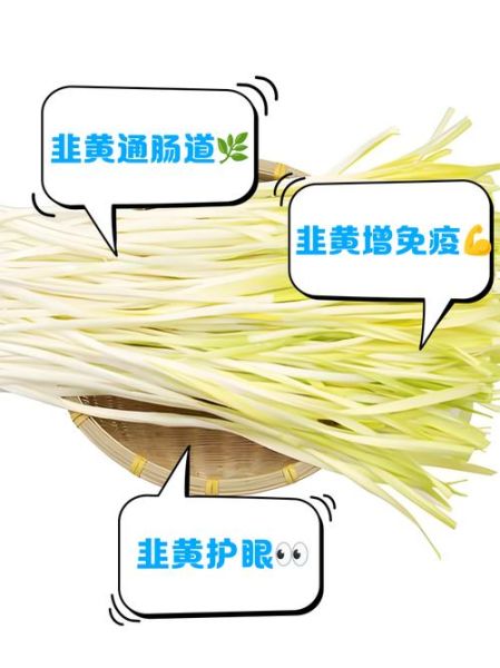 女人吃韭黄有什么好处_女人吃韭黄会胖吗-第1张图片-山城妙识 女人吃韭黄有什么好处_女人吃韭黄会胖吗-第1张图片-山城妙识