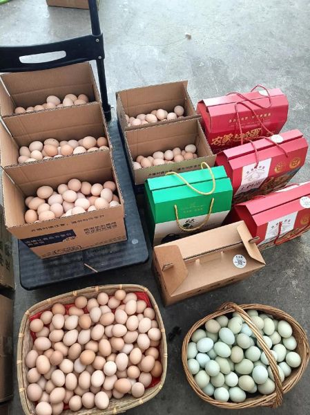 笨鸡蛋多少钱一斤_笨鸡蛋价格为什么贵-第2张图片-山城妙识 笨鸡蛋多少钱一斤_笨鸡蛋价格为什么贵-第2张图片-山城妙识