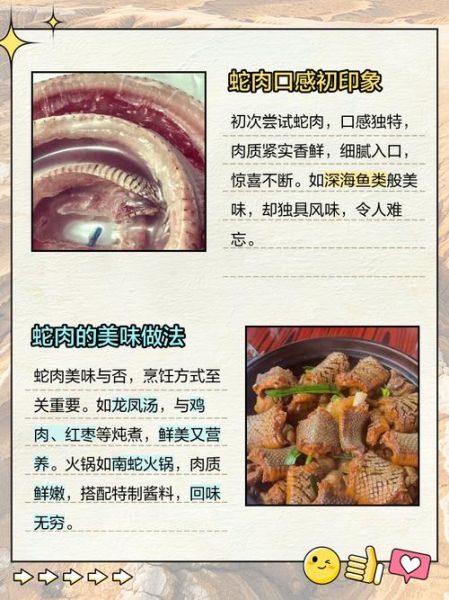 蛇肉多少钱一斤_蛇肉价格为什么差异大-第2张图片-山城妙识 蛇肉多少钱一斤_蛇肉价格为什么差异大-第2张图片-山城妙识