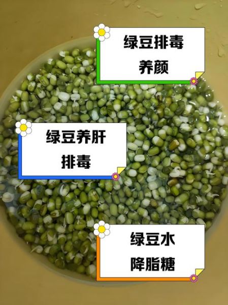 绿豆怎么煮最解肝排毒_绿豆煮多久解毒效果最好-第2张图片-山城妙识 绿豆怎么煮最解肝排毒_绿豆煮多久解毒效果最好-第2张图片-山城妙识