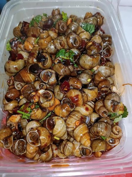 炒田螺怎么炒好吃_田螺去腥技巧-第2张图片-山城妙识 炒田螺怎么炒好吃_田螺去腥技巧-第2张图片-山城妙识