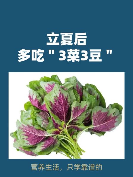 立夏吃什么菜好_立夏养生菜谱推荐-第2张图片-山城妙识 立夏吃什么菜好_立夏养生菜谱推荐-第2张图片-山城妙识